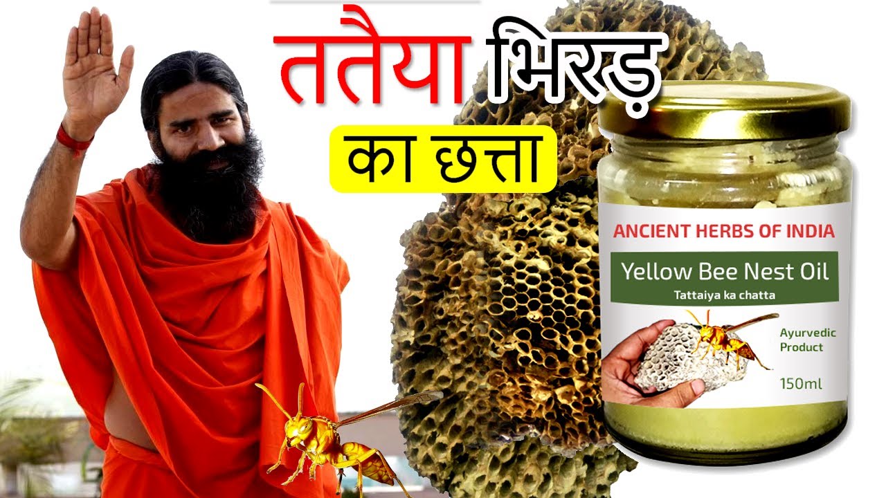 ततैया (bhirad) के छत्ता का तेल || Yellow Bee Nest Tataiya Chatta Bhirad ...