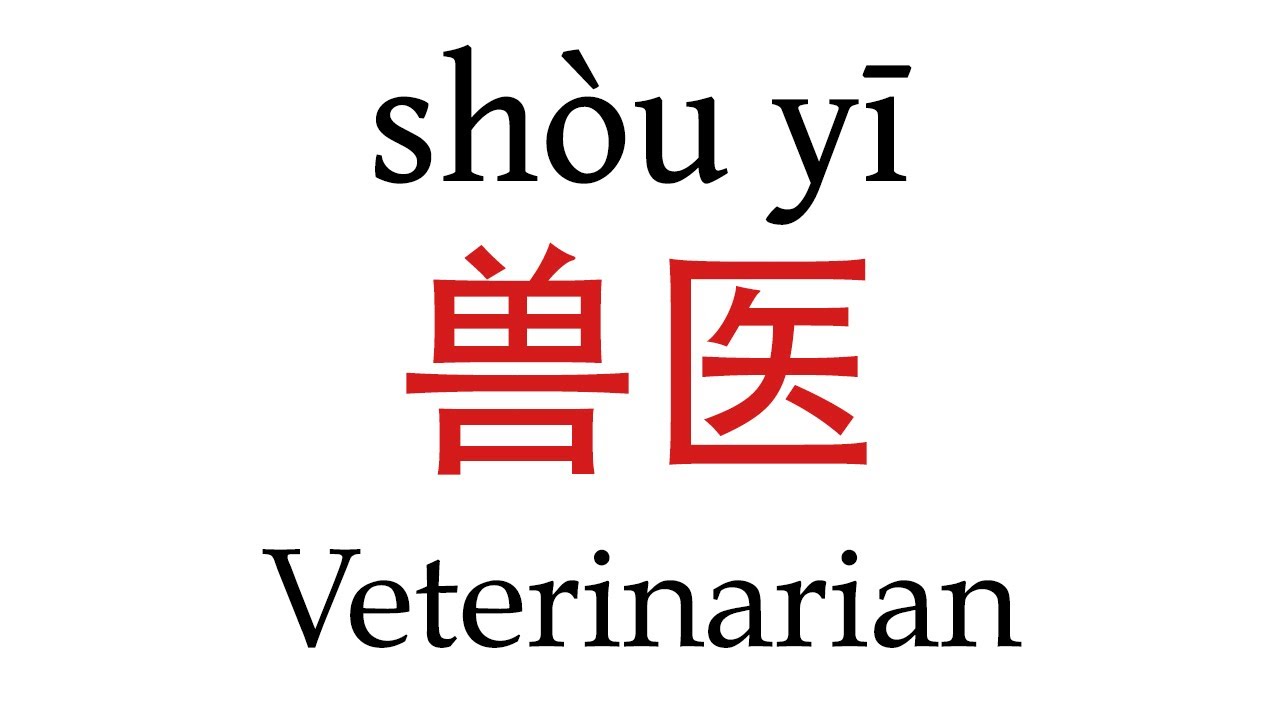 How To Say ''Veterinarian'' (兽医) in Mandarin Chinese - YouTube