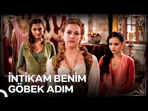 Kurt Kışı Geçirdi, Yediği Ayazı Da Unutmadı