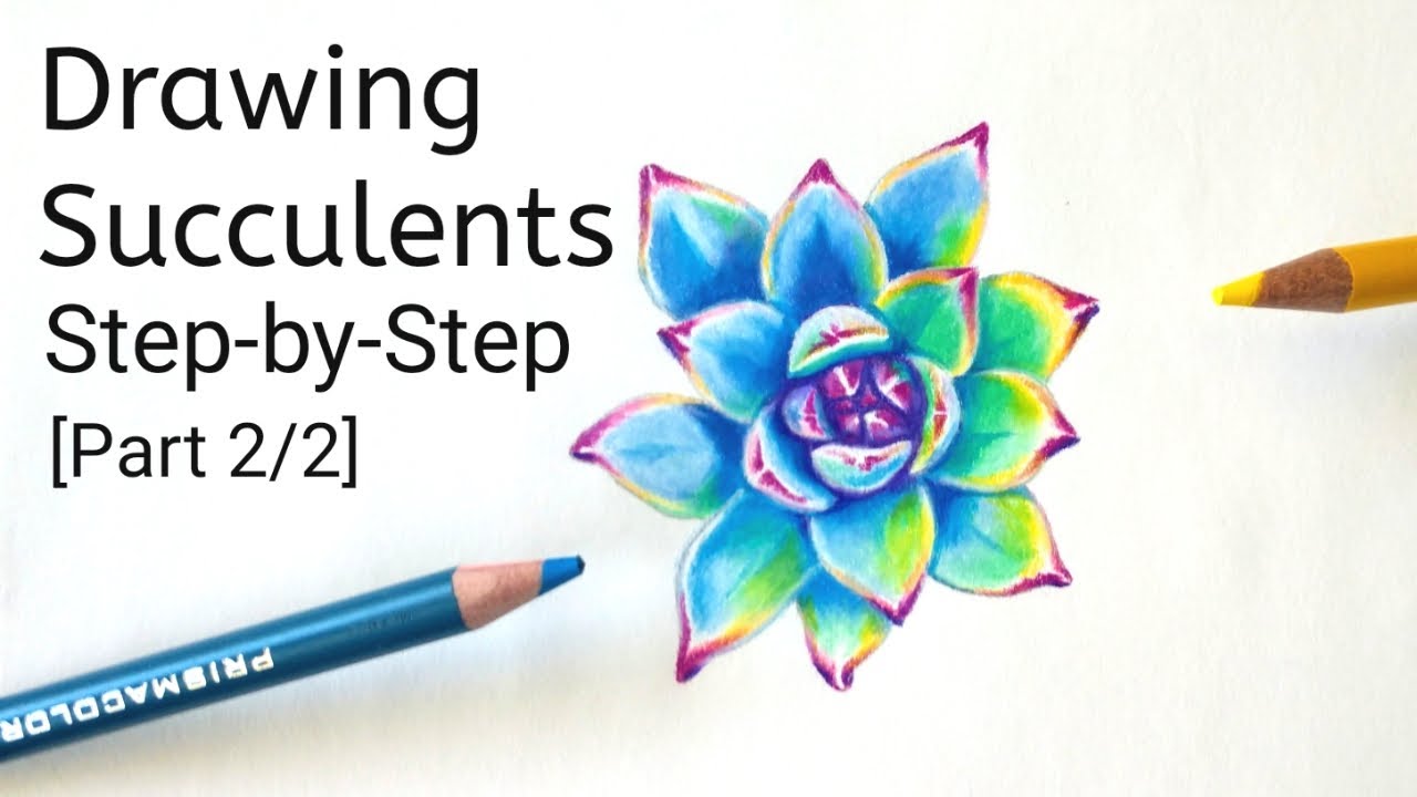 Easy succulent drawings with colored pencils [Part 2/2] | Doodles for ...