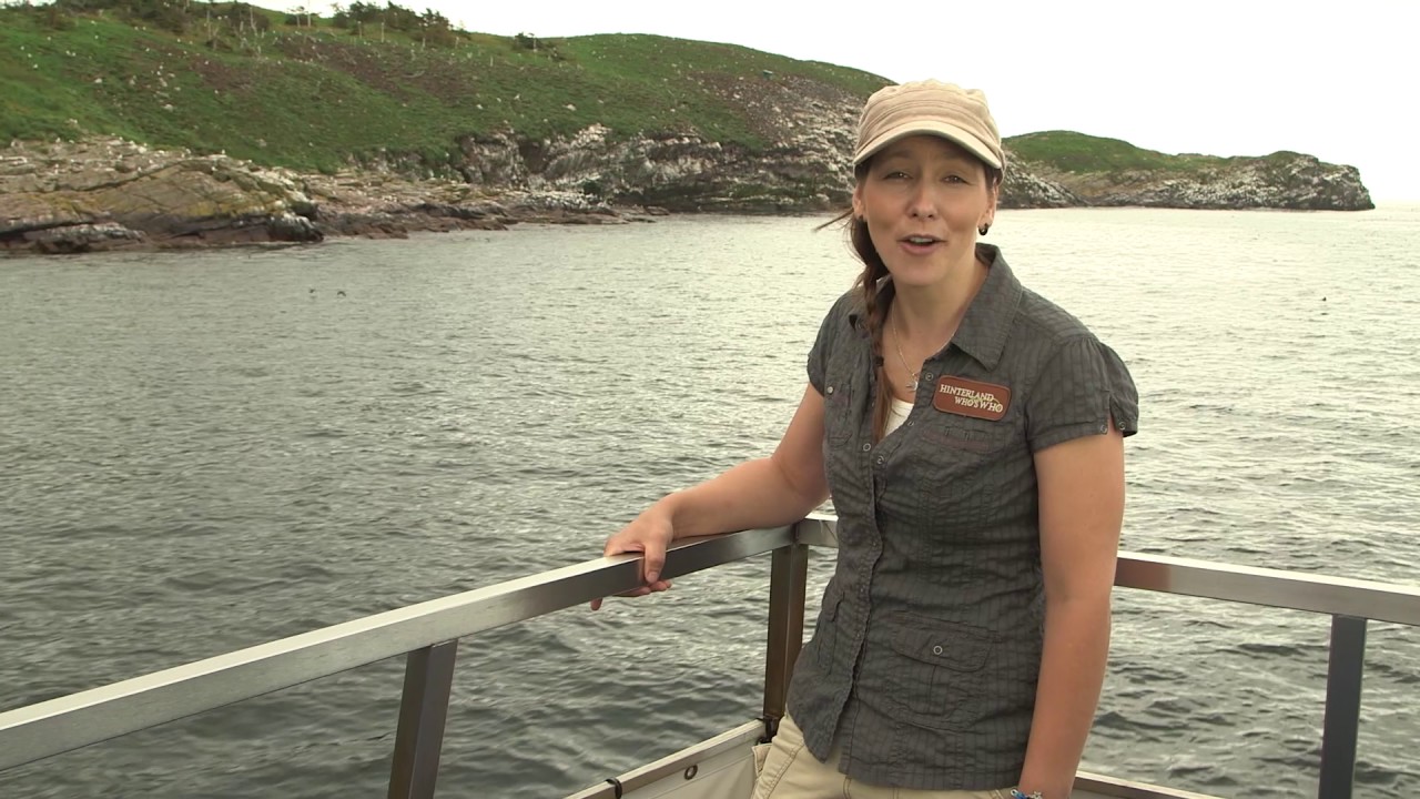 HWW - Puffin (30 SEC) - YouTube