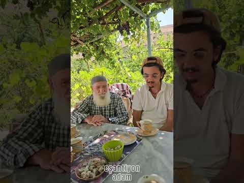 Sen buralara nirden girdin...Ahmet dede nin hepinize selamı var....#insanhikayeleri  #kediseverler