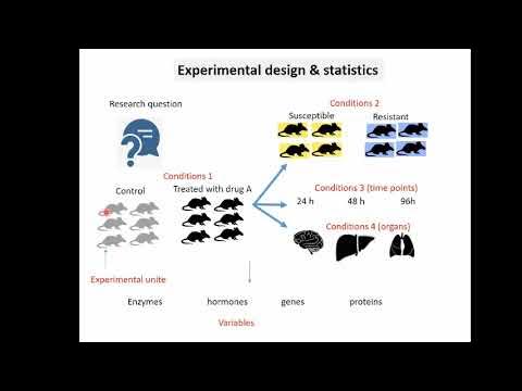 Introduction to Biostatistics Part 1 - YouTube