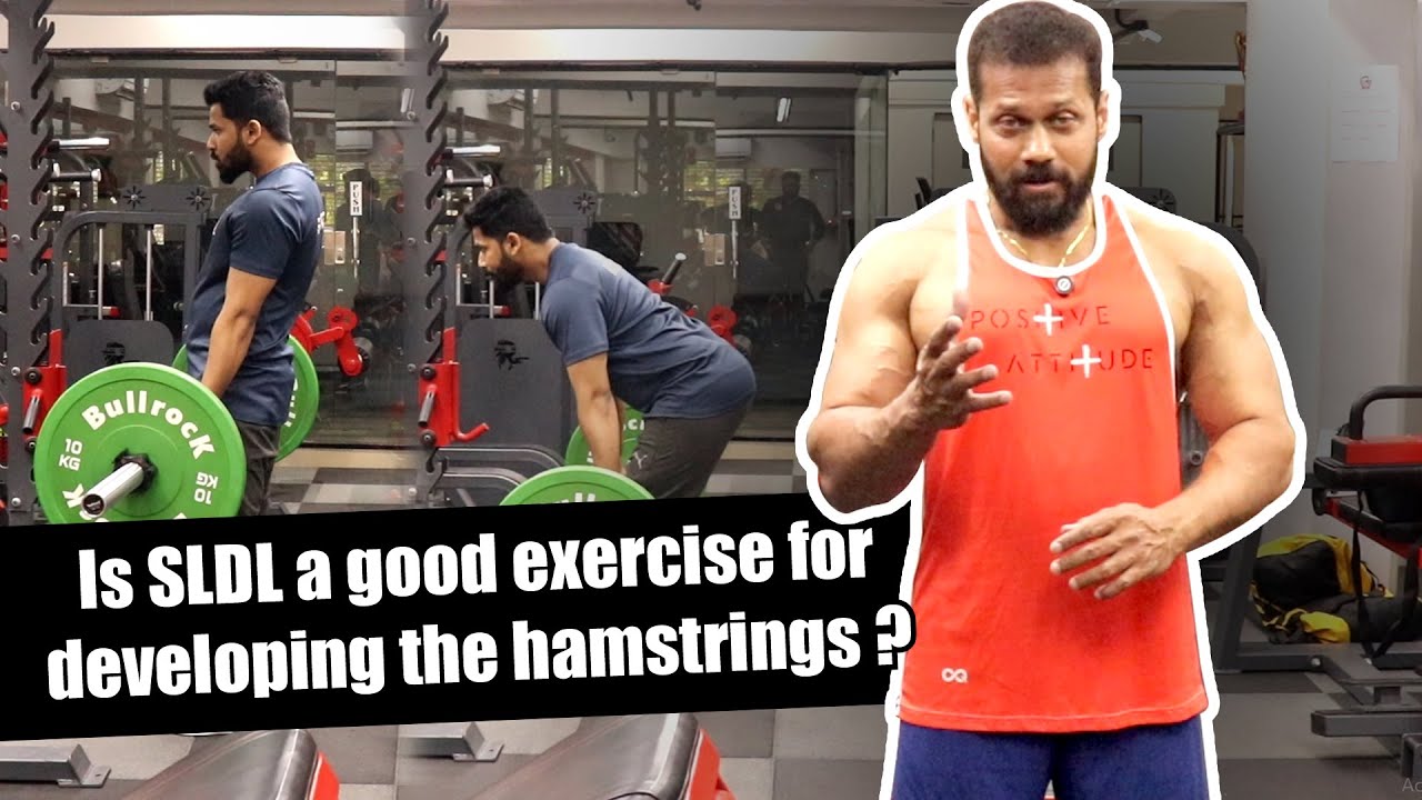 Is SLDL a good exercise for developing the hamstrings ? - YouTube