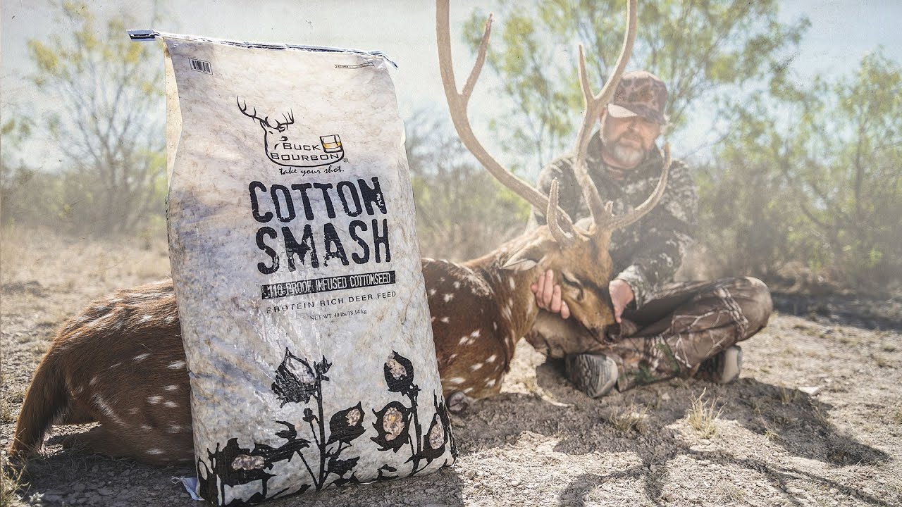 Cotton Smash 110 Proof Infused Cotton Seed Attractant | Buck Bourbon - YouTube