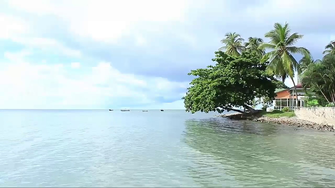 Beach scene video - YouTube