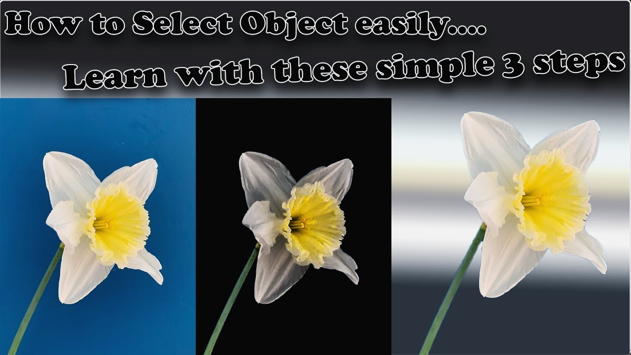 HOW TO SELECT OBJECT WITH DIFFERENT METHODS OBJECT SELECTION QUICK SELECTION CHANNELS how-to-select-object-with-different-methods-object-selection-quick-selection-channels