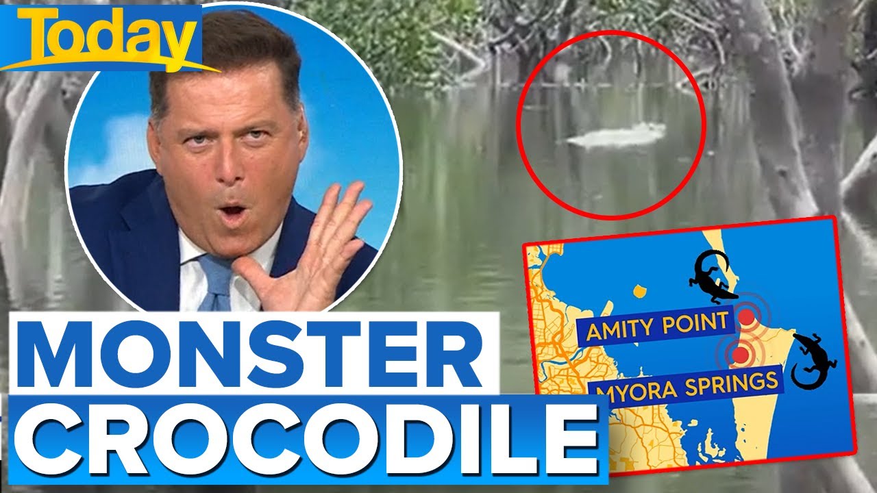 Authorities rush to hunt 'unusual' monster croc | Today Show Australia ...