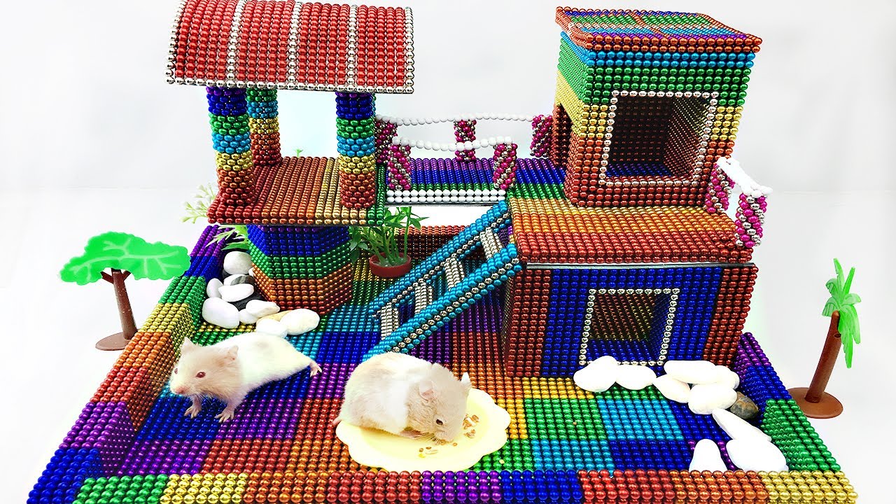 Get Creative With The Magnet Balls To Build A Playground For Hamster ...