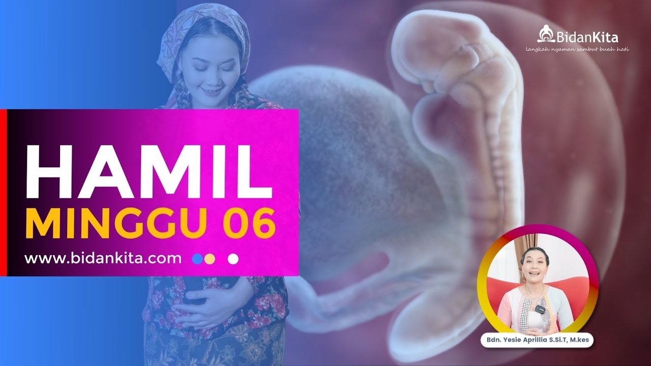 Minggu ke 6 - Kehamilan dari Minggu ke Minggu - YouTube