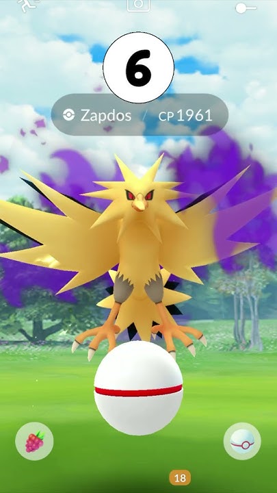 Did We Get SHINY SHADOW ZAPDOS ? | Pokemon Go Shadow Zapdos Raids - YouTube