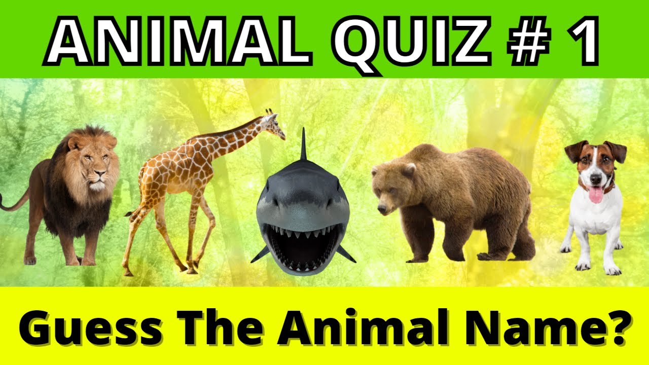 ANIMAL QUIZ - 1 | Guess The Animal Name | Animal Game | ANIMAL TRIVIA 1 ...