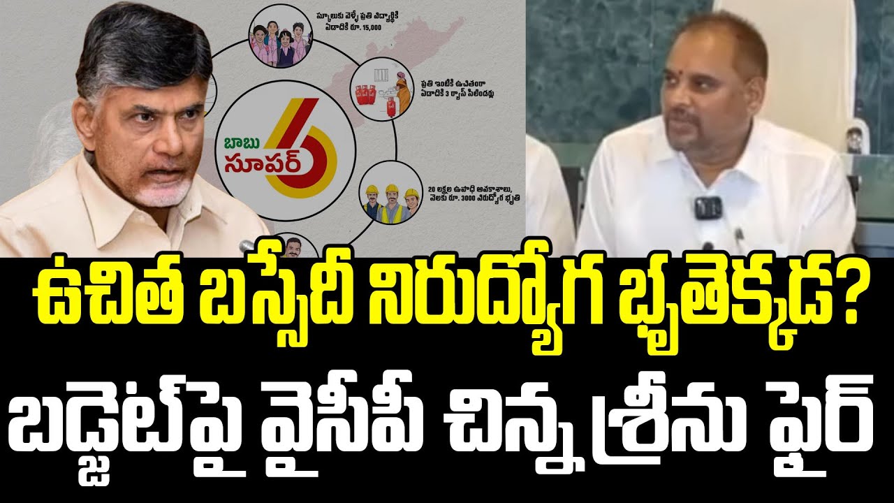 YSRCP Chinna Srinu on AP Budget 2025 | Super Six Schemes | Chandhrababu ...