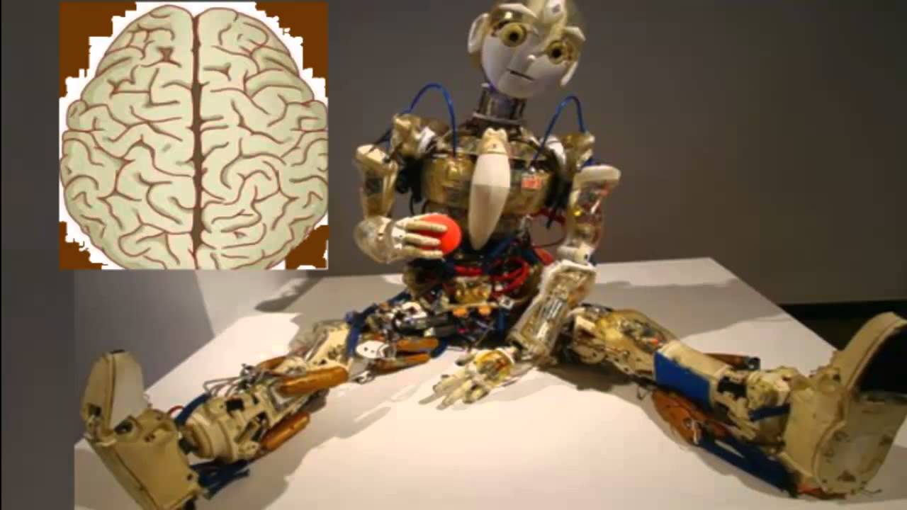 Cerebro humano en robot - YouTube
