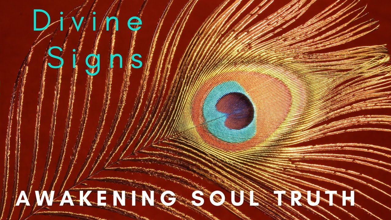 Divine Signs - YouTube