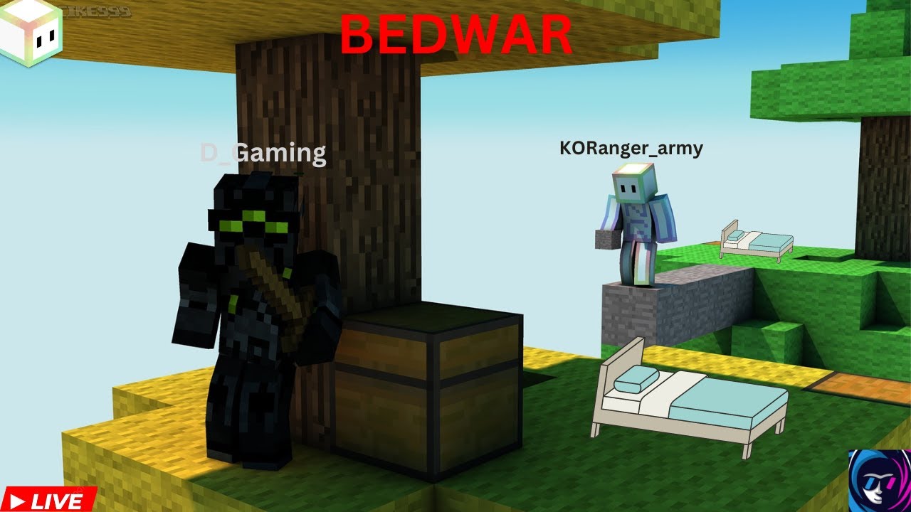 FIRST TIME PLAY BEDWAR WITH NOOB BROTHER @D_IS_LIVE - YouTube
