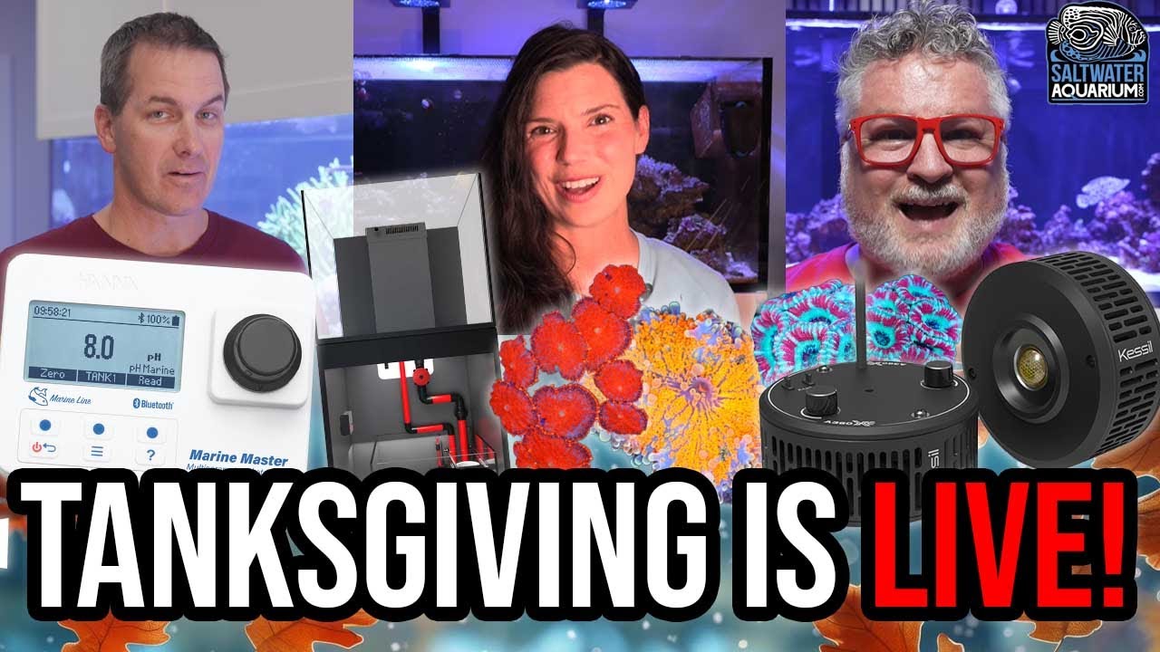 Tanksgiving 2025 Is LIVE! Huge Saltwater Aquarium Giveaways & Deepest ...