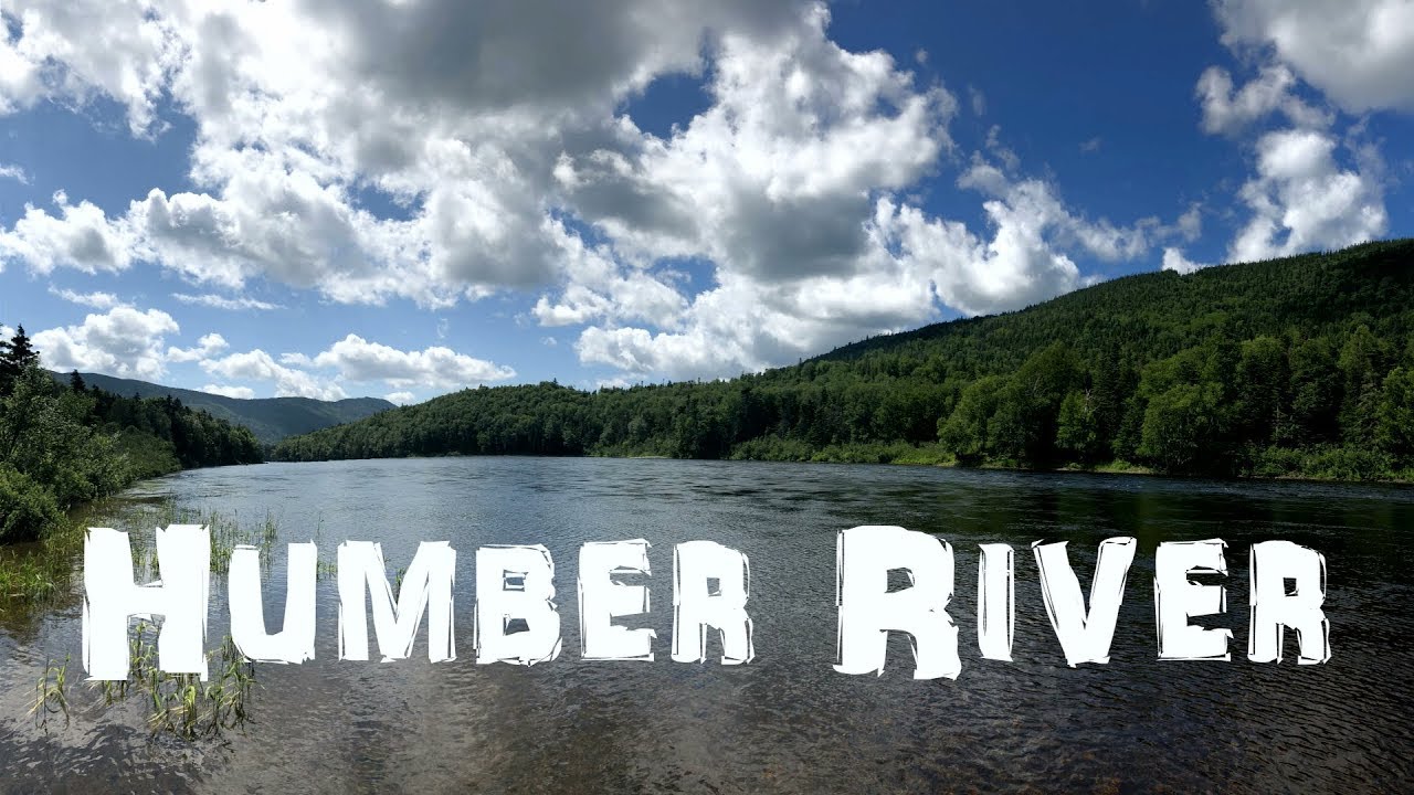 A Day on The Lower Humber River - Atlantic Salmon Fishing - YouTube