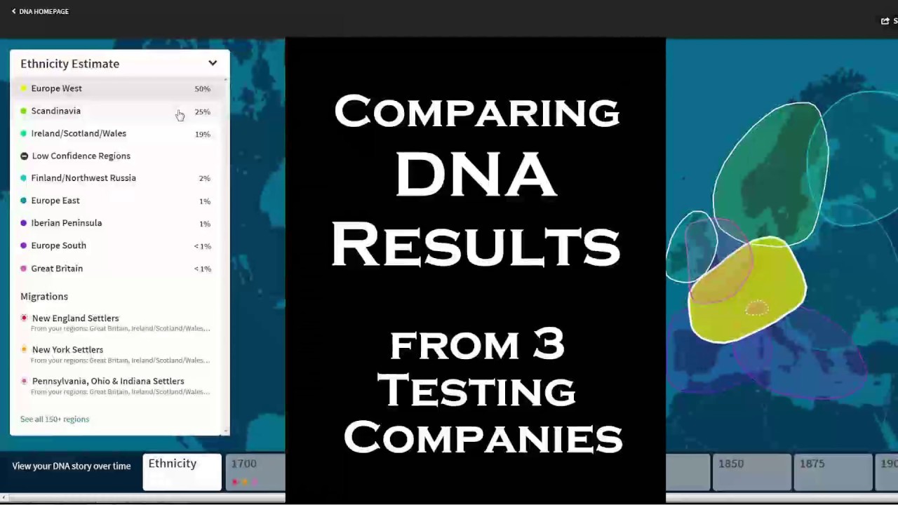 Comparing DNA Results from 3 Testing Companies - YouTube