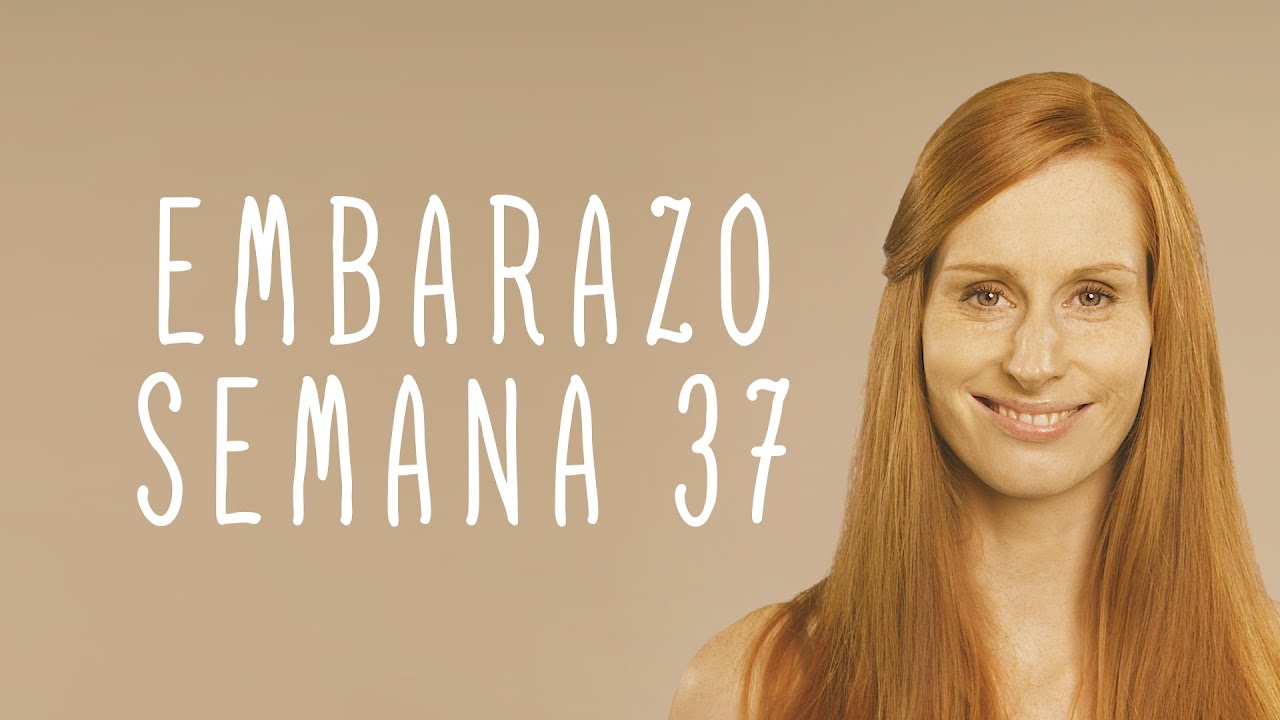 Calendario De Embarazo - Semana 37 - YouTube