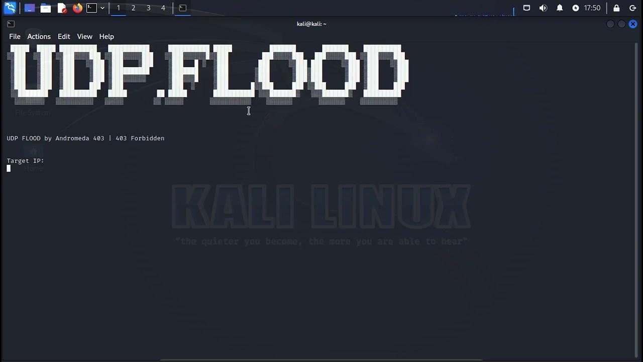 New DoS Tool (UDP FLOOD) - YouTube