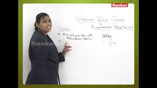 Ground Tissue System - Cortex | Tissue Systems | Internal Organization in Plants |Dr. Humera Nazneen