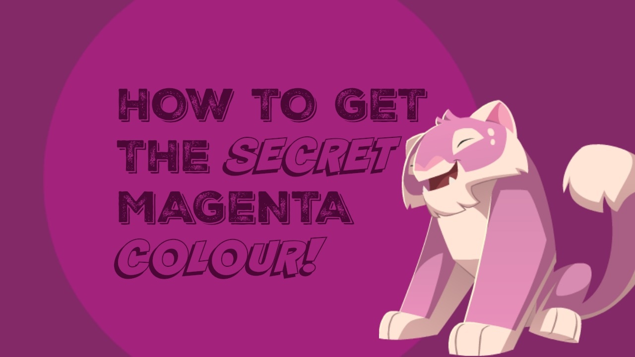 How to get the glitched magenta colour | Animal Jam - YouTube