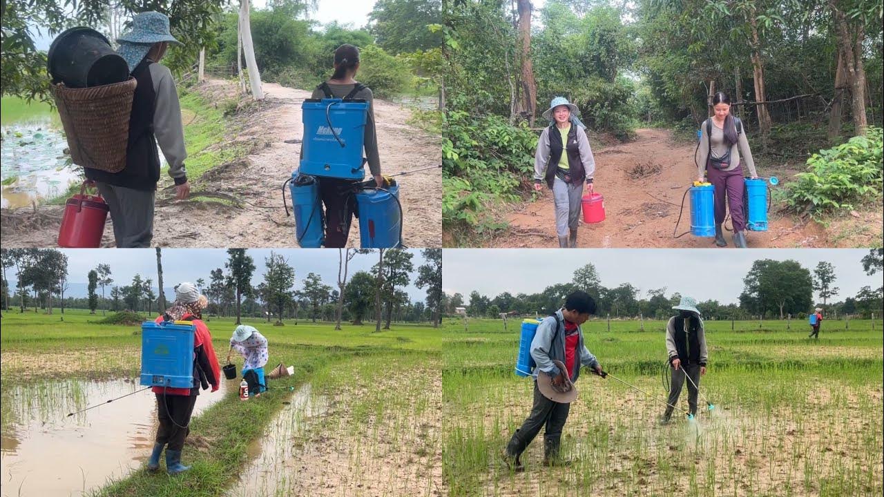 Hnub no mus tua tshuaj nroj nram liaj - YouTube