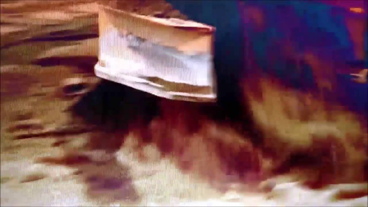 Rent the Reveal 4-in-1 Riding Arena and Ground Prep Tool - YouTube