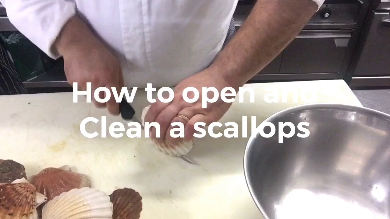 How to open a fresh scallops - YouTube