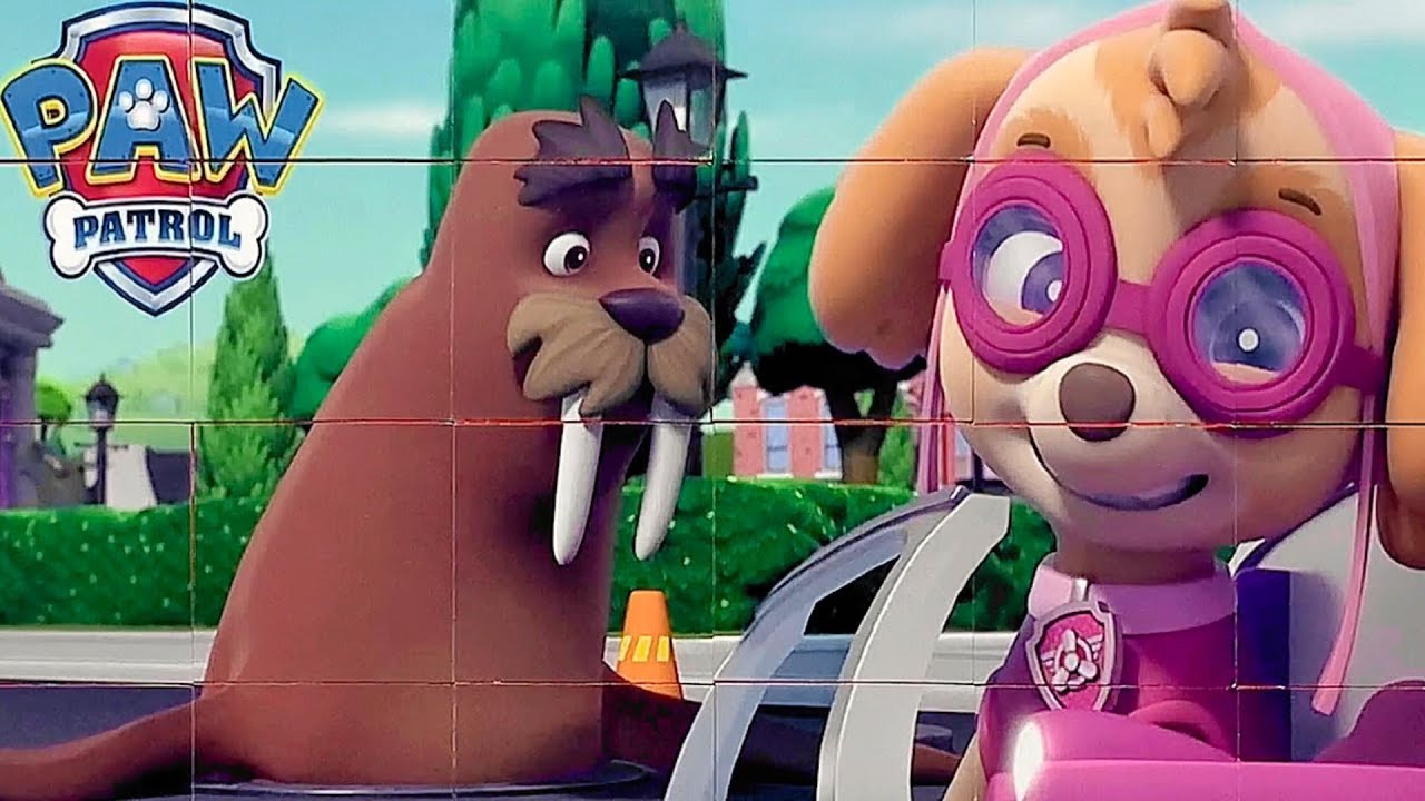 Skye and the Wandering Walrus! | PAW Patrol | Puzzle for kids and for ...