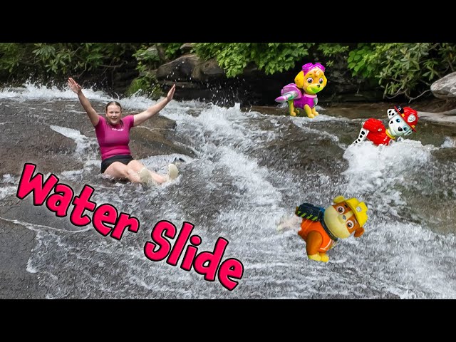 Assistant finds Chase and Paw Patrol at Giant Natural Water Slide ...