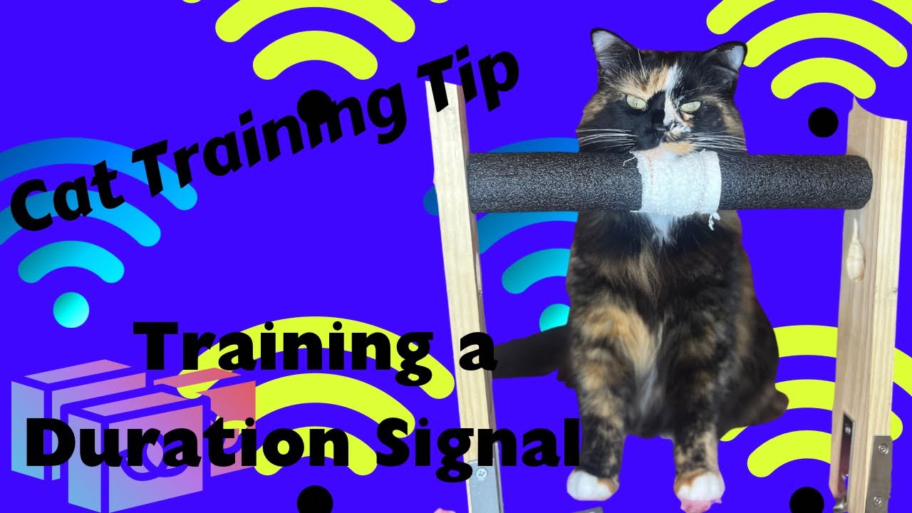 Training Tip for How to Train a Signal for Behaviors Across Duration ...