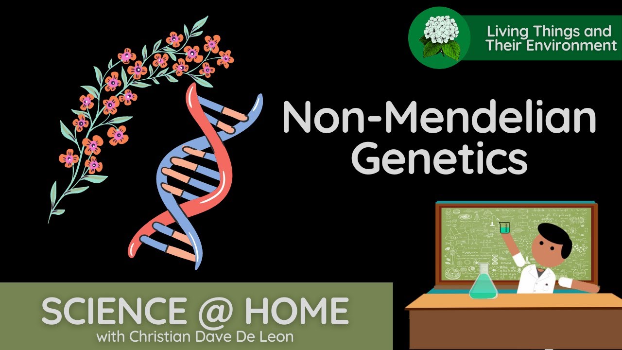 Non Mendelian Genetics Science Home Biology YouTube non-mendelian-genetics-science-home-biology-youtube