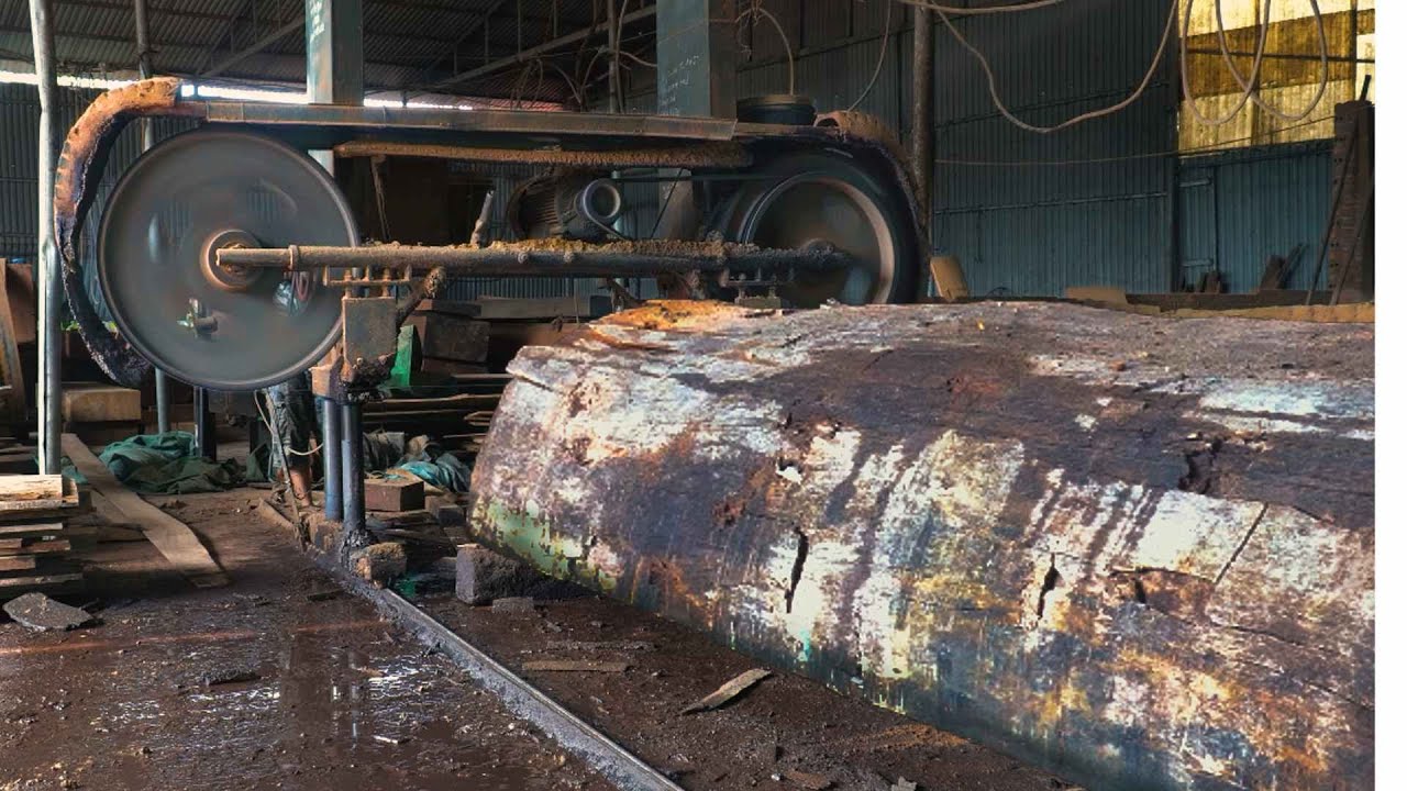 Sawmill Wood Cutting : Processing Super-Sized Trees into Large Planks ...