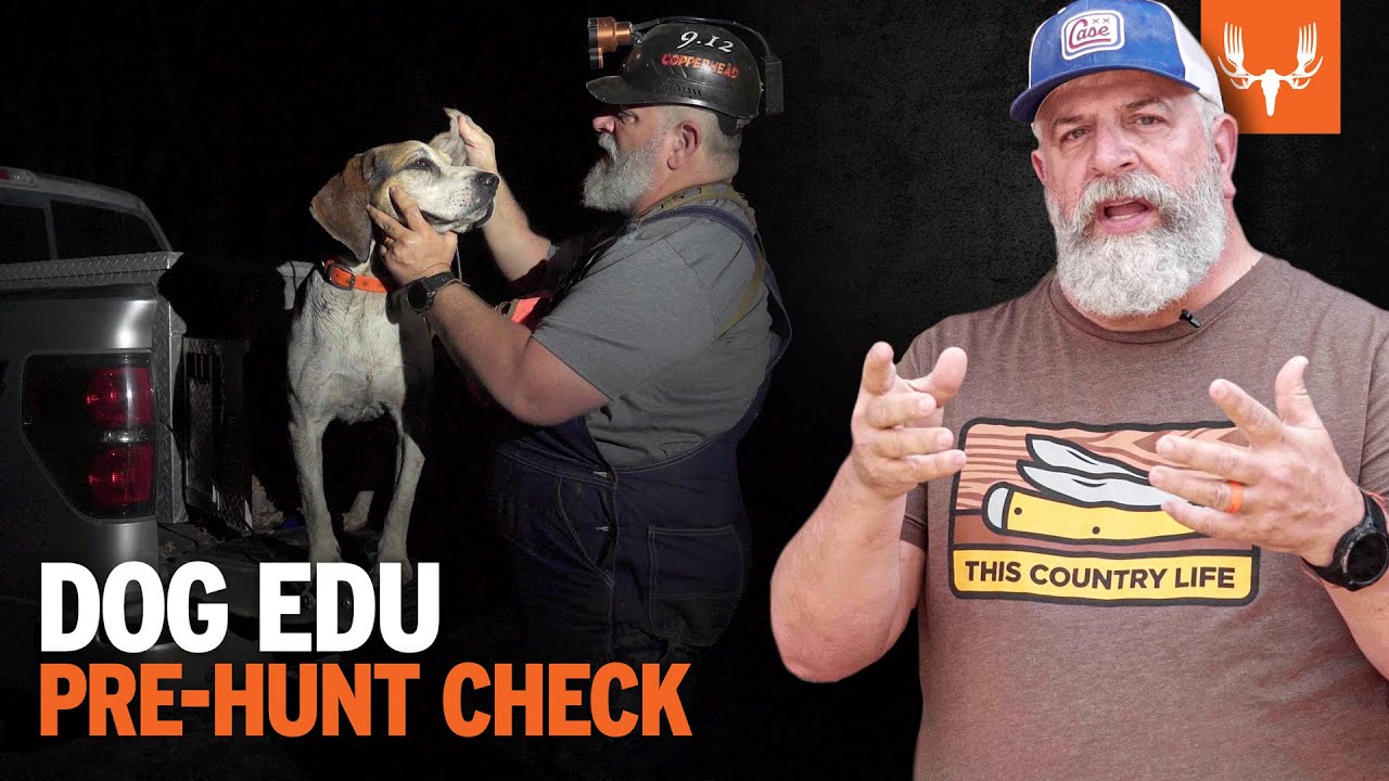 Pre Hunt Hound Check | With Brent Reaves | Dog Edu - YouTube