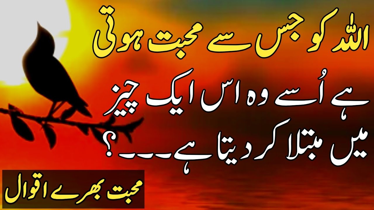 Allah Aur Mohbbat? Quotes About Allah In Urdu | Islamic Quotes Urdu ...