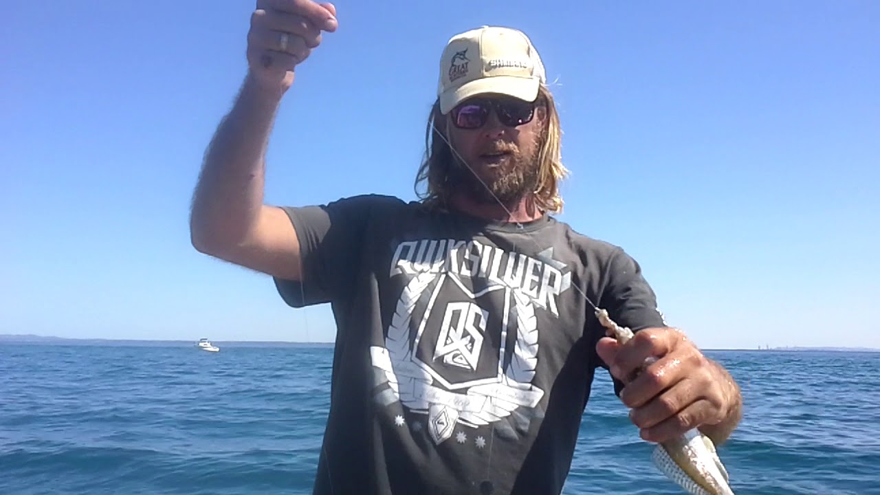 How to catch winter whiting in Moreton Bay. - YouTube