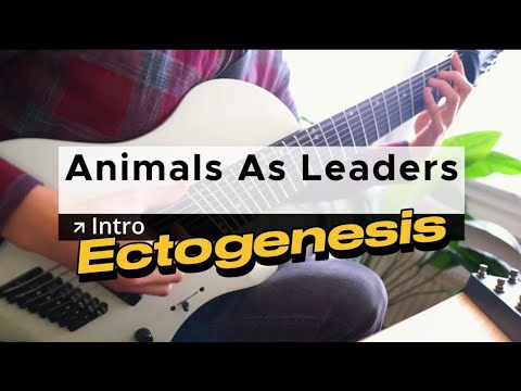 Tutorial #36 with Tabs - Ectogenesis Intro - Animals As Leaders - Tosin ...
