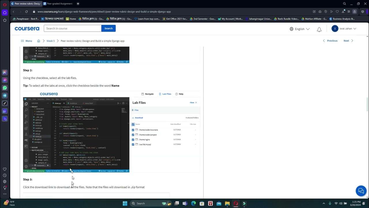 Peer-graded Assignment: Design and Build a simple Django app Coursera | Django Web Framework ...