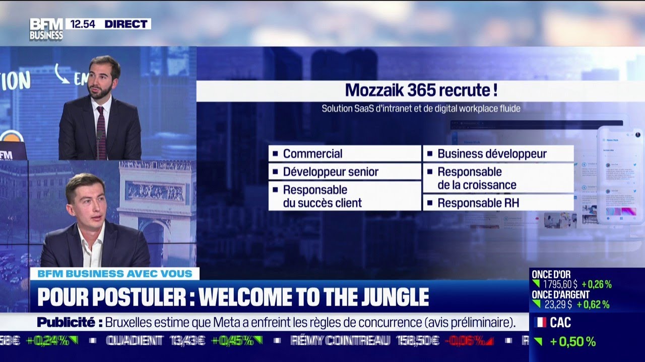 Mozzaik365, solutions d'intranets collaboratifs, recrute une vingtaine ...