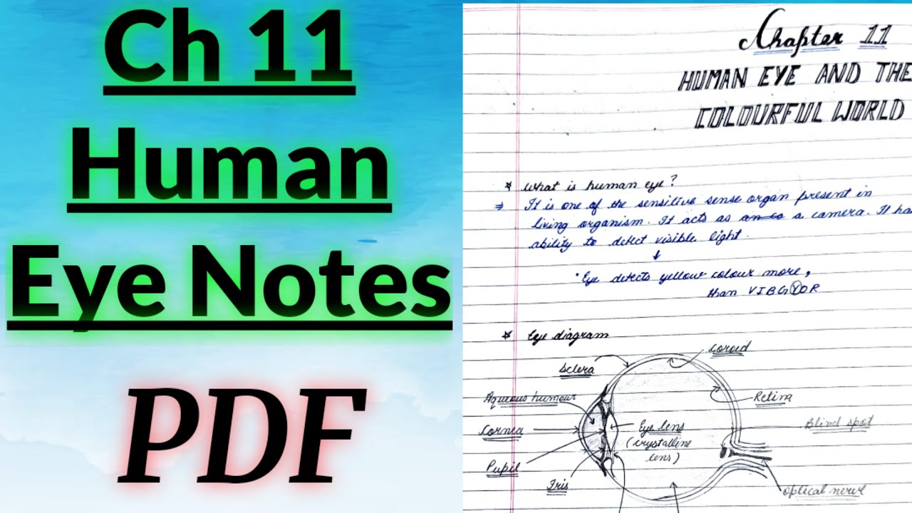 Class 10 science Ch 11 human eye and colorful notes off download - YouTube