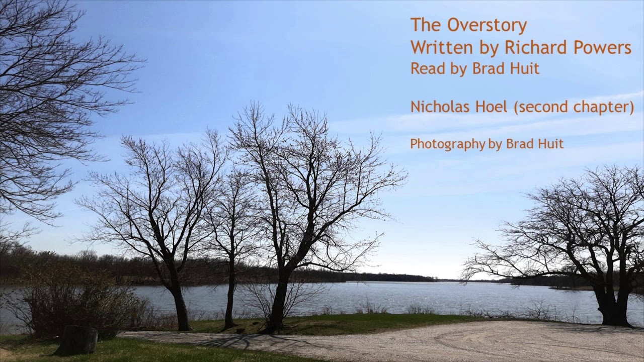 The Overstory: 2nd Chapter (Nicholas Hoel). Book written by Richard ...