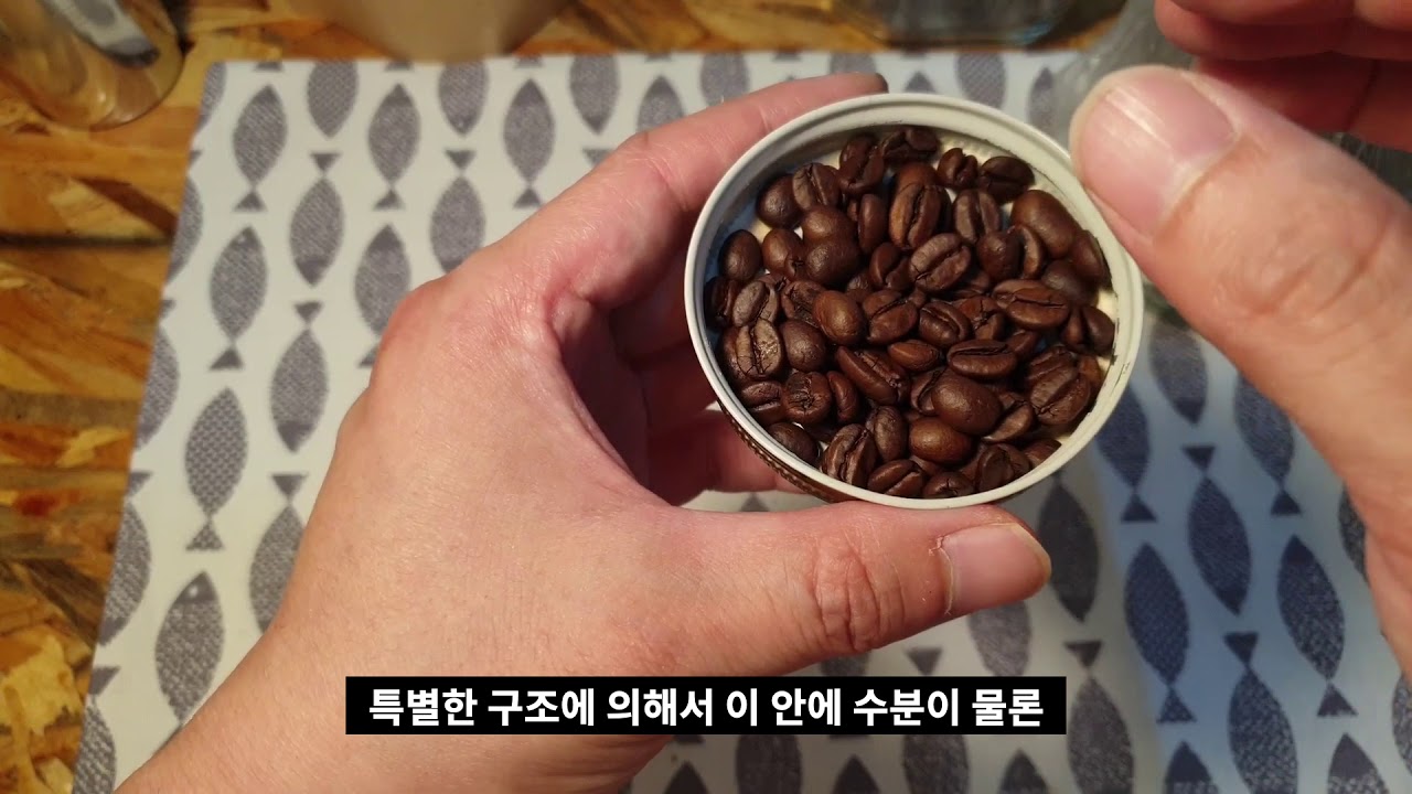 커피 원두 보관 신선하게 오래 하는 방법 Youtube