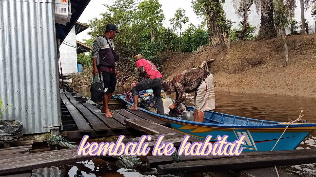 HARI KE EMPAT, KEMBALI KE HABITAT , CAMPING , FISHING DAN HUNTING DI TEPI SUNGAI KAPUAS - YouTube