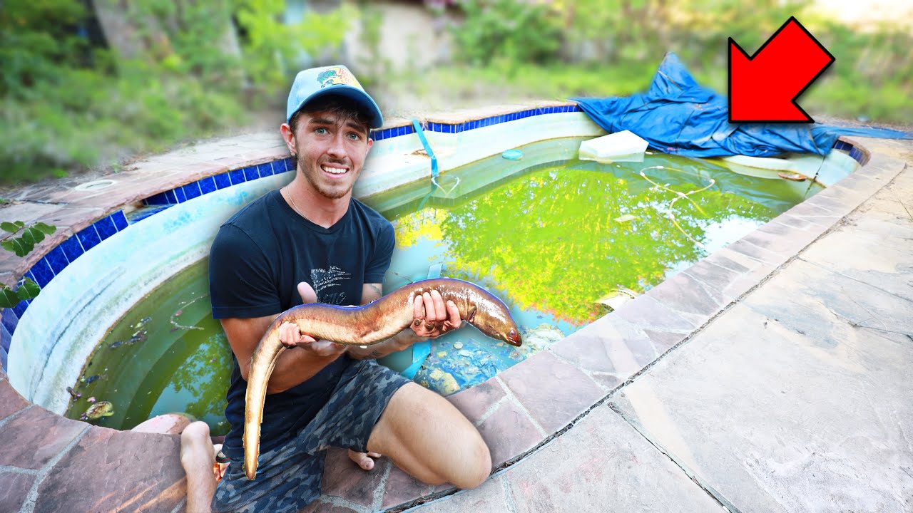 Capturing WILD EEL in ABANDONED BACKYARD POOL!?! - YouTube