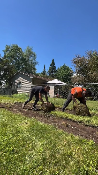 Sod Cuttingrototilling Rototiller Sodcutter Sod Grasscutting Lawncare Gardeningtips