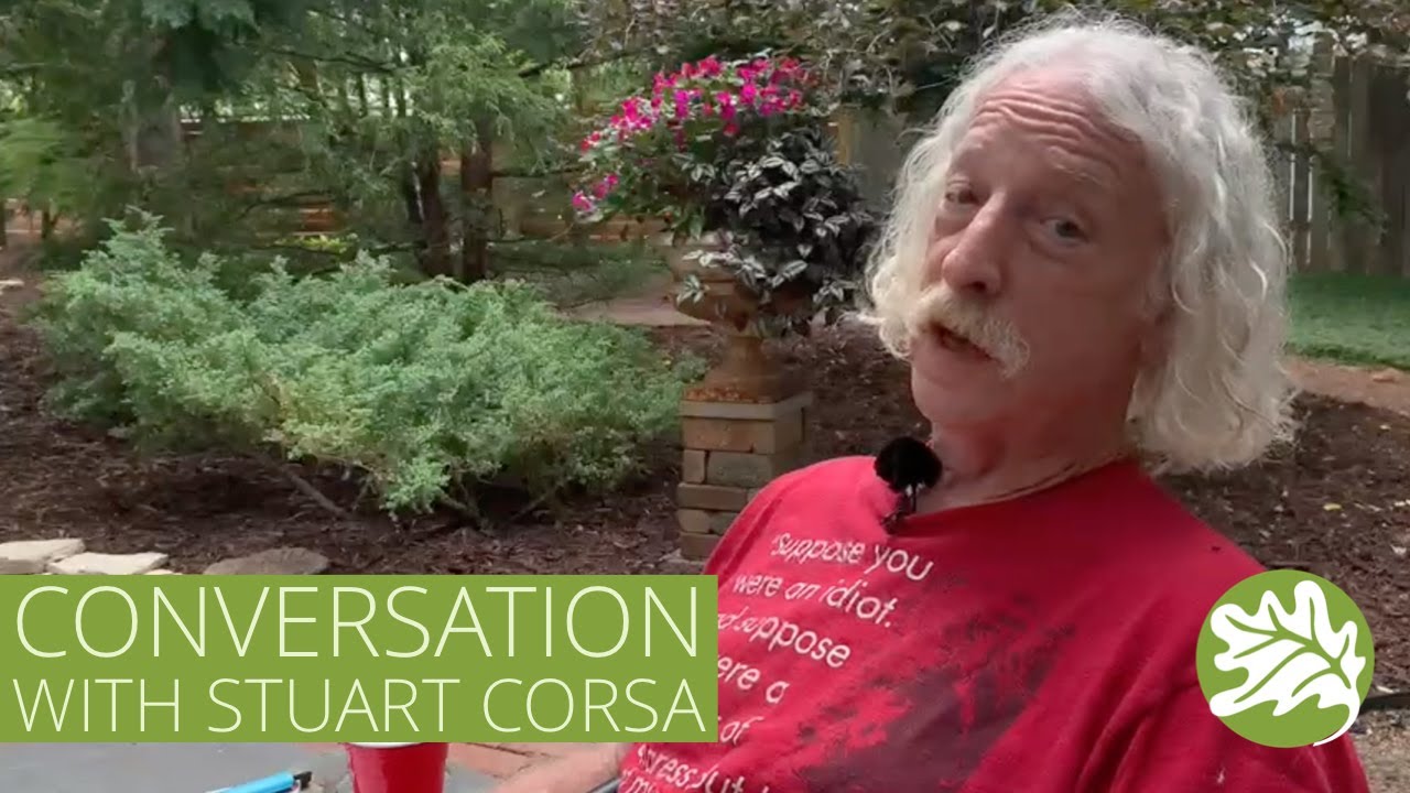Stuart Corsa - YouTube