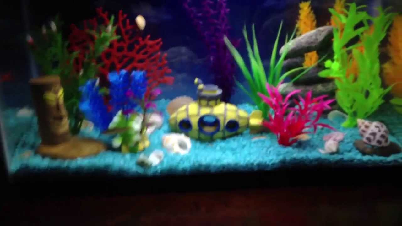 New Freshwater "Tacky Tank"! - YouTube