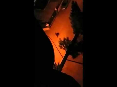 Adana'da Sıradan  Bir Gece
